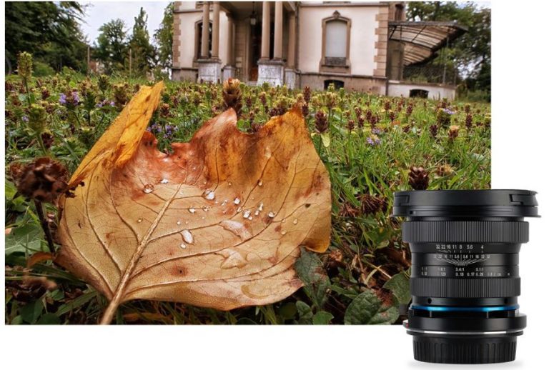 Fotografia macro: um guia completo | iPhoto Channel